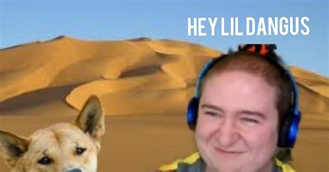 Lil Dangus Album On Imgur