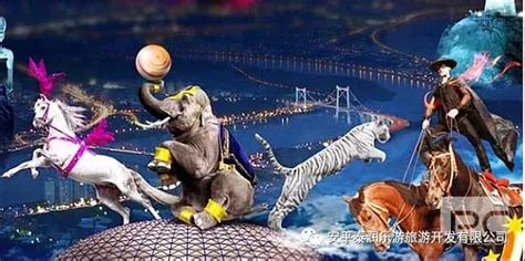 五国大马戏即将在安平上演！演出