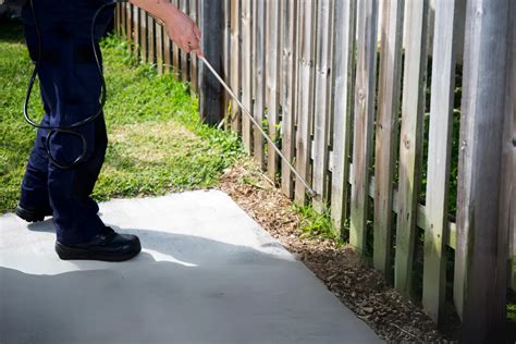 Termite Control Melbourne Termite Inspection And Treatment