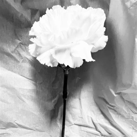 구름 병아리소녀 네이버 Ogq마켓