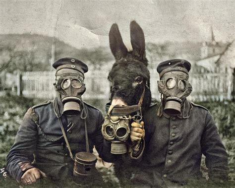 Ww1 Gas Mask Drawing