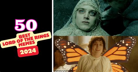 The 50 Most Precious Lord Of The Rings Memes Of 2024 Geek Universe