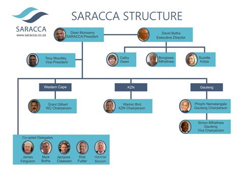 About Saracca