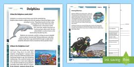 Differentiated Reading Comprehension Worksheets PDF Twinkl