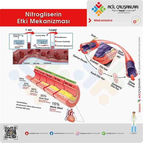 Nitrogliserin Perlinganit® Uygulama Akıl Kartı Acil Çalışanları