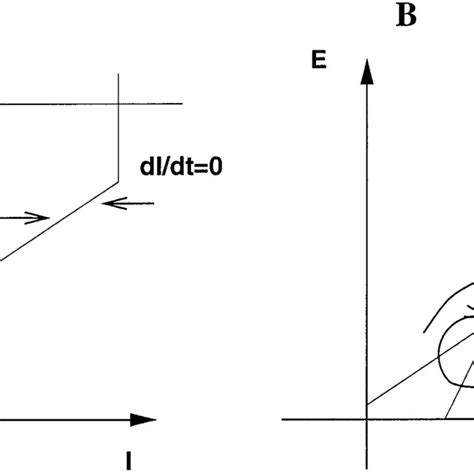 Phase Plane Analysis Of The Dynamic Population Of Equations 1 And 2