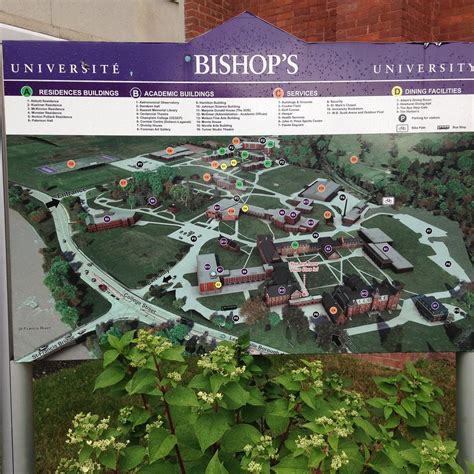 Bishops University Sherbrooke CanadÁ Quebec 2026 Fotos E