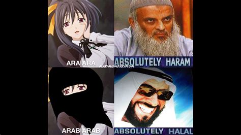 Perfect R Animemes