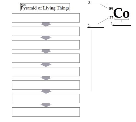 Biology 110 Exam 1 Diagram Quizlet
