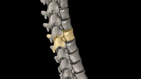 รูปภาพt9 เลือกดูภาพถ่ายสต็อก เวกเตอร์ และวิดีโอ290 Adobe Stock