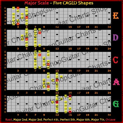 Guitar Major Scale Caged Shapes Etsy