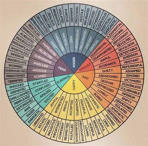 Language Wheel A Visual Representation Of Different Languages