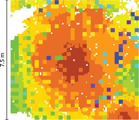 data example of rasterized point clouds for one tree same colour scale
