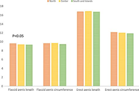 Penile Length And Circumference Dimensions A Large Study In Young
