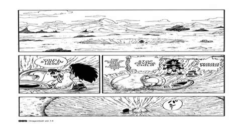 What Did Raditz Do With The Farmers Corpse Dbz