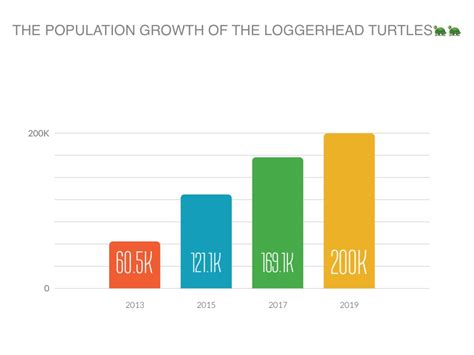 Loggerhead Turtles By Aidee Navarrete