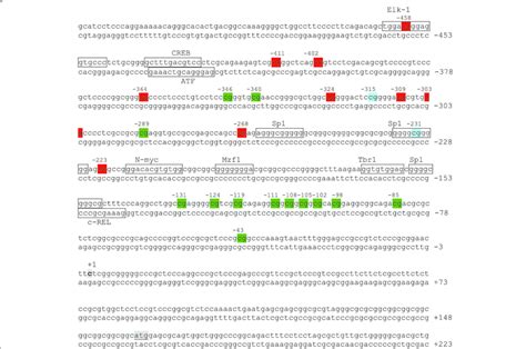 Methylation Status At The Reln Gene Promoter In Case Control Pairs