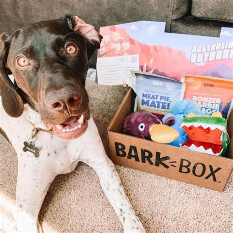 Barkbox The Monthly Dog Toy And Treat Box