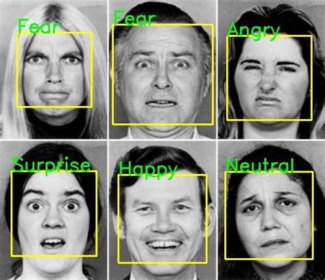 Github Syed Rayyanadilemotion Detection Facial Emotion Recognition