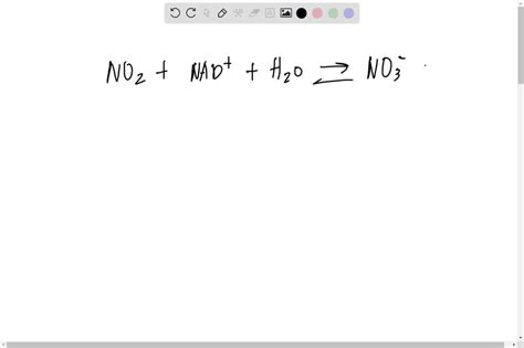 Solved In The Soil Nitrifying Bacteria Such As Those In The