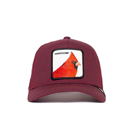 Gorras Vaqueras Hasta 25 De Descuento 🥇 Sears