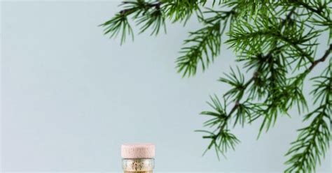 전통 전나무주 재해석 인산농장 증류주 ‘적송자 금강주 공개