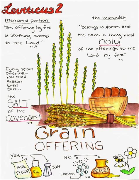 Doodle Through The Bible Leviticus 2