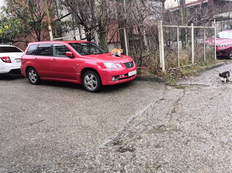 Фары в аиртрек — Сообщество «Mitsubishi Airtrek (Outlander)» на DRIVE2