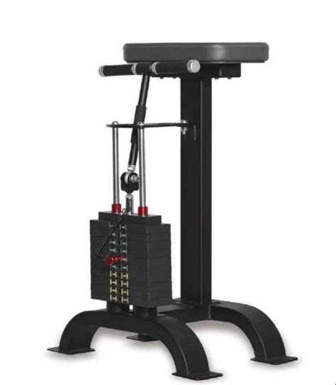 Wrist Curl Machine For Gym At Rs 15000 In Surat Id 24595842891