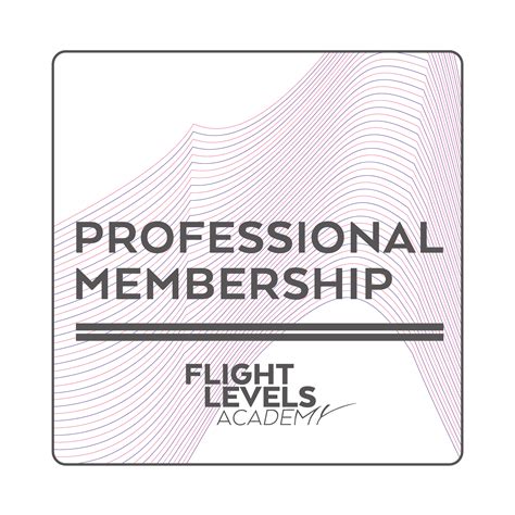 Flight Levels Professional Program Flight Levels Academy