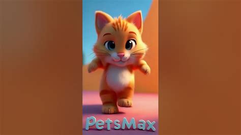 Dancing Kitty Youtube