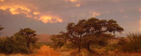 Releases Chris Watson