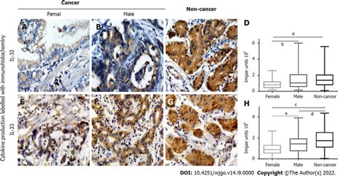Correlation Of Interleukin 32 And Interleukin 33 Expression With Sex
