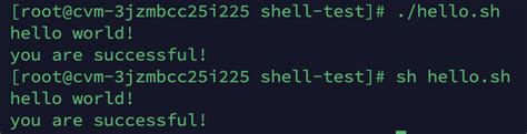 Shell编程基础入门 shell脚本编程入门 CSDN博客