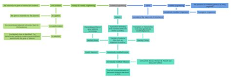 Genetic Engineering Coggle Diagram