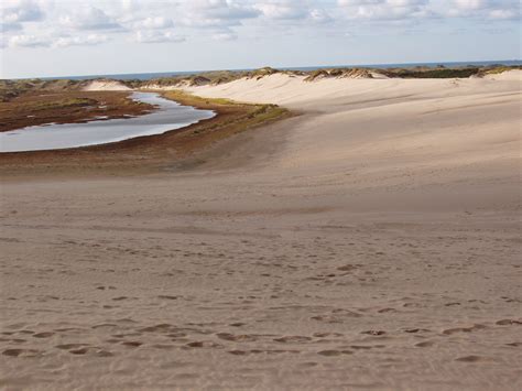 Råbjerg Mile