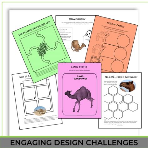 Inspiring Steam Camel Activities Life Cycle Unique Biomimicry