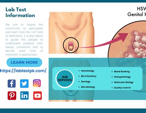 Hpv Human Papillomavirus Purpose R Lab Test Information