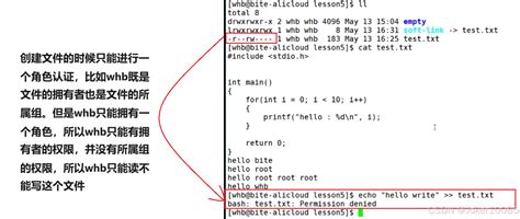 Linux的权限 Csdn博客