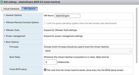 Operating System Not Found In Vmware Console After Delphix Engine