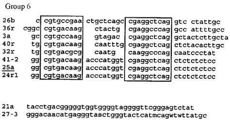 Continued From The Previous Page Nucleotide Sequences Of The Selected