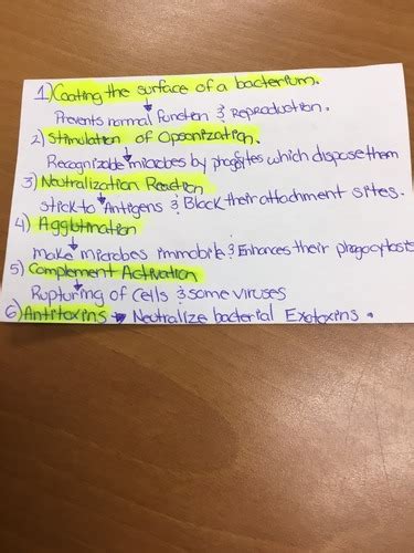 Microbiology Exam 3 Flashcards Quizlet