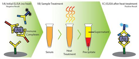 How To Draw Blood For A Heartworm Test