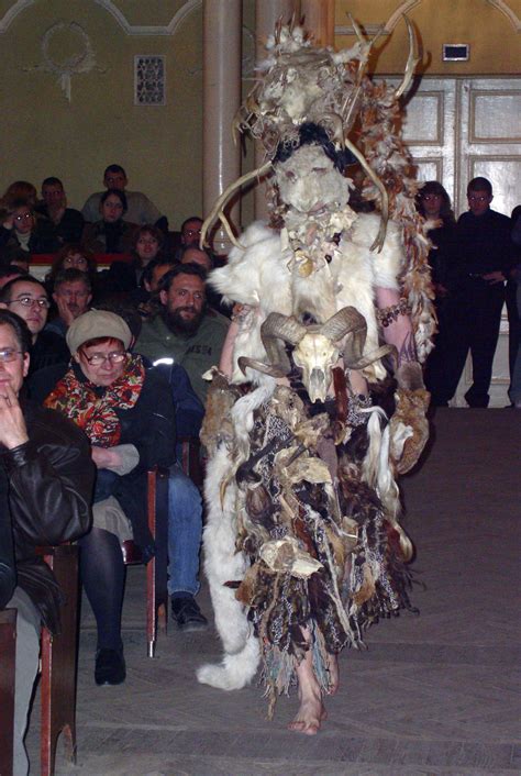 Mikhail Koptev “some Were Too Ashamed To Sit In The Audience” — Bird In Flight