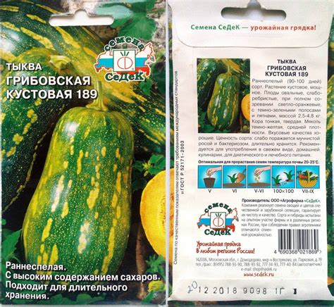 Кустовая тыква: лучшие сорта, фото, описание, выращивание и уход в ...