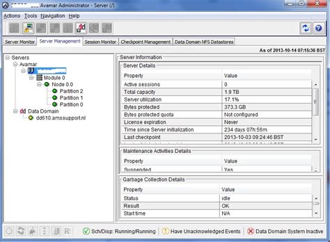 avamar understanding the data protected value in avamar