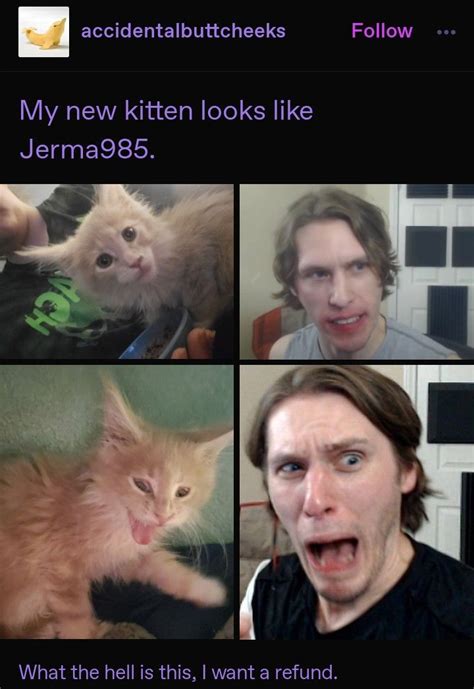 Catboy Jerma Fanart Jerma Art Reaction Funni