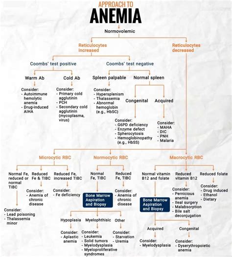Macrocytic Anemia Algorithm Causes Of Macrocytic Anemia More