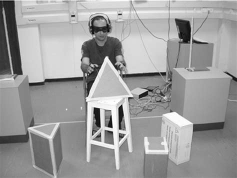 The 3d Shape Recognition Task The Two Poles Used In The Radial