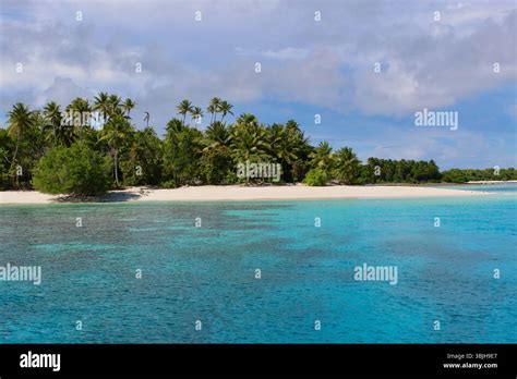 An Uninhabited Tropical Island In The Marshall Islands With Palm Trees